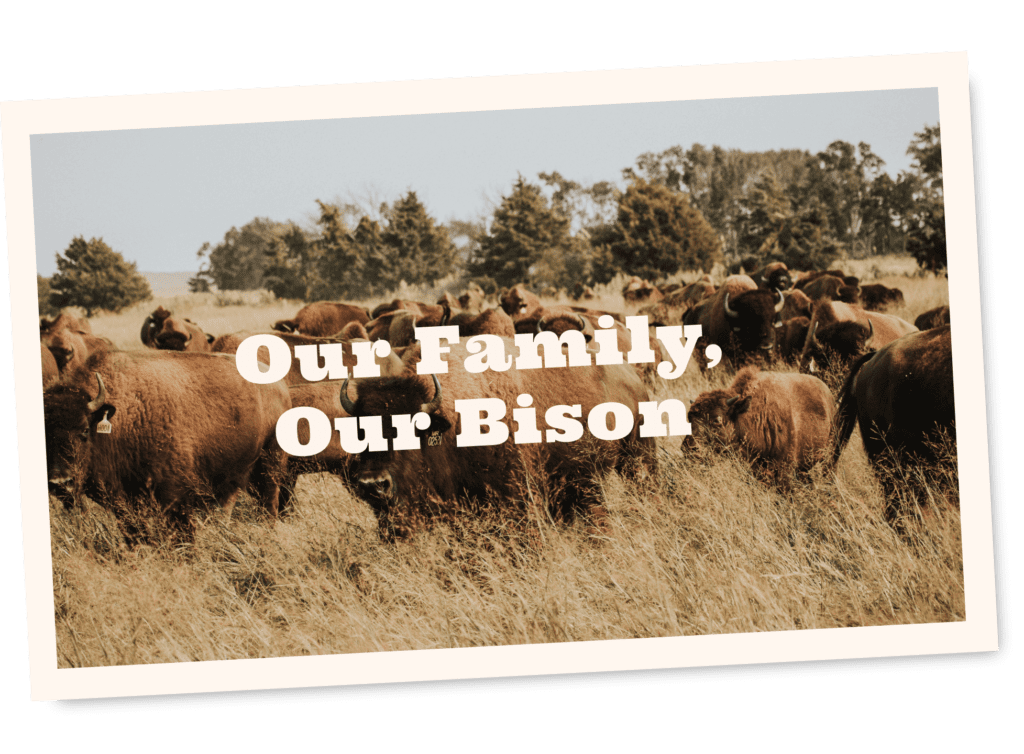About Dakota Pure Bison - Dakota Pure Bison